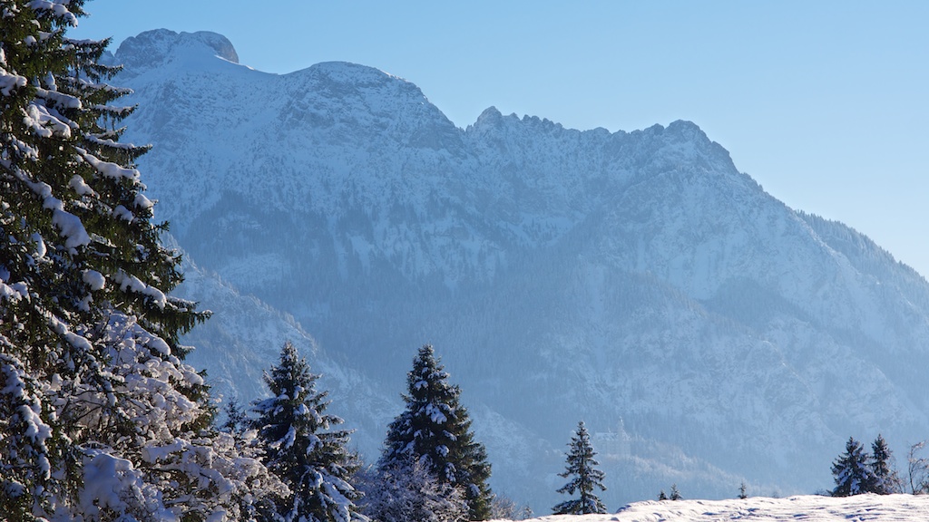 hirschfuetterung-9 - Allgäu Blog von Michael Helmer